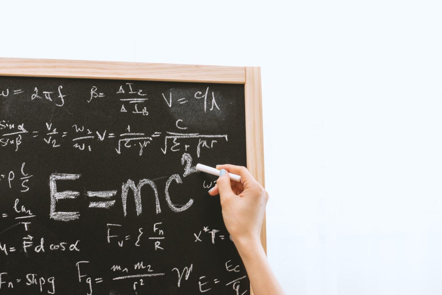 Understanding the Ocean Acidification Equation and Its Biological ...