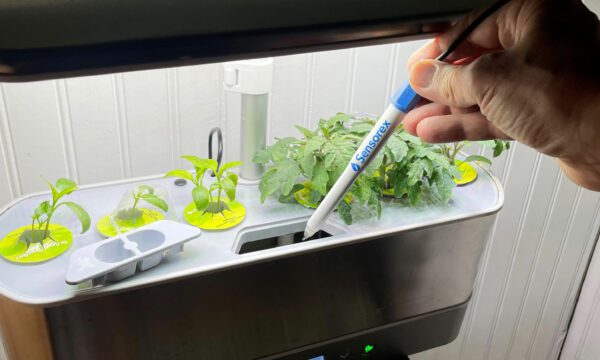 DIY Hydroponic Fertilizer: A Complete Guide to Mixing Your Own ...